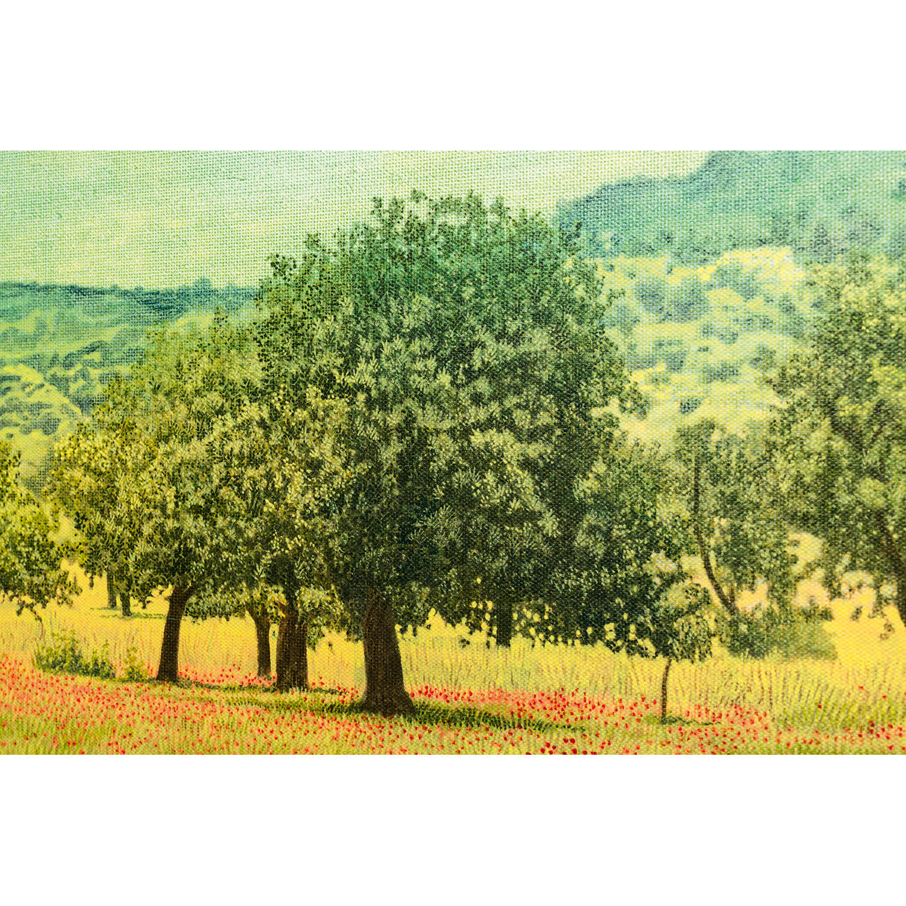 Ingo Wegerl – Olivenhain kaufen | Pro-Idee Kunstformat