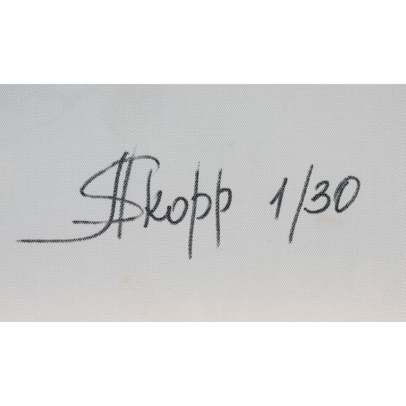 Anastassia Skopp – Summer Garden | Kunst online kaufen