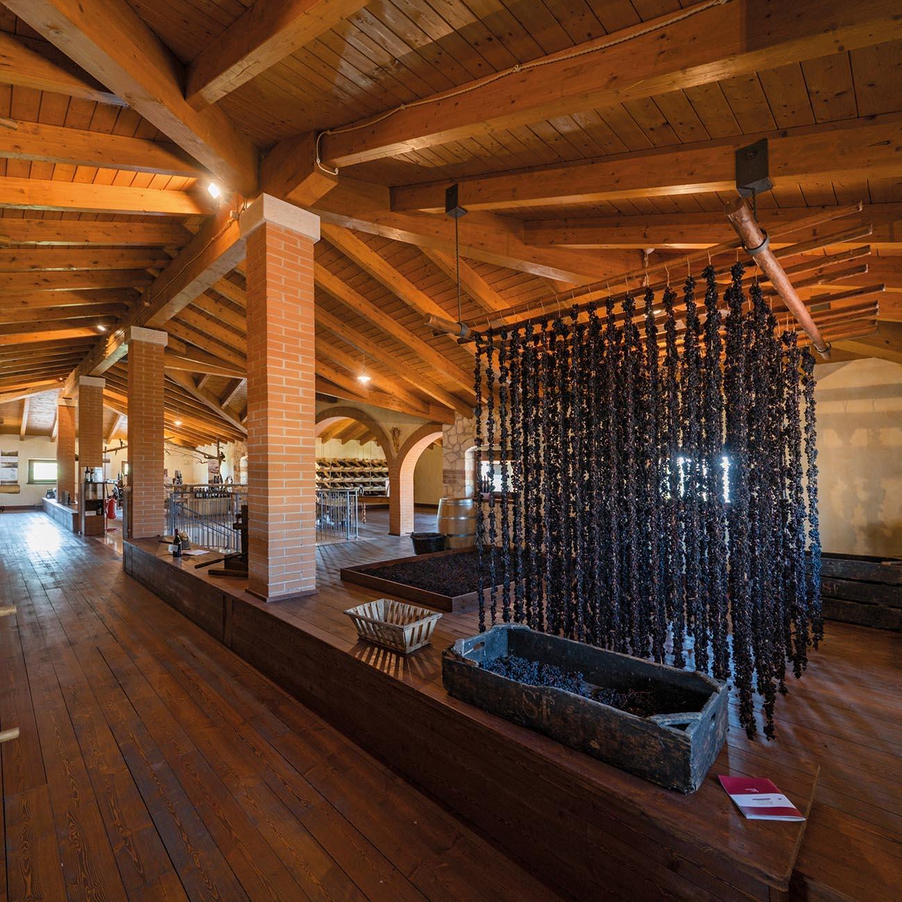 Appassimento Negrar 2021, Cantina di Negrar, Veneto IGT, Italien