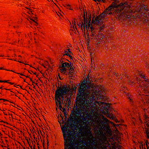 Lars Tunebo – Tripping on Brooklyn Bridge | Kunst kaufen